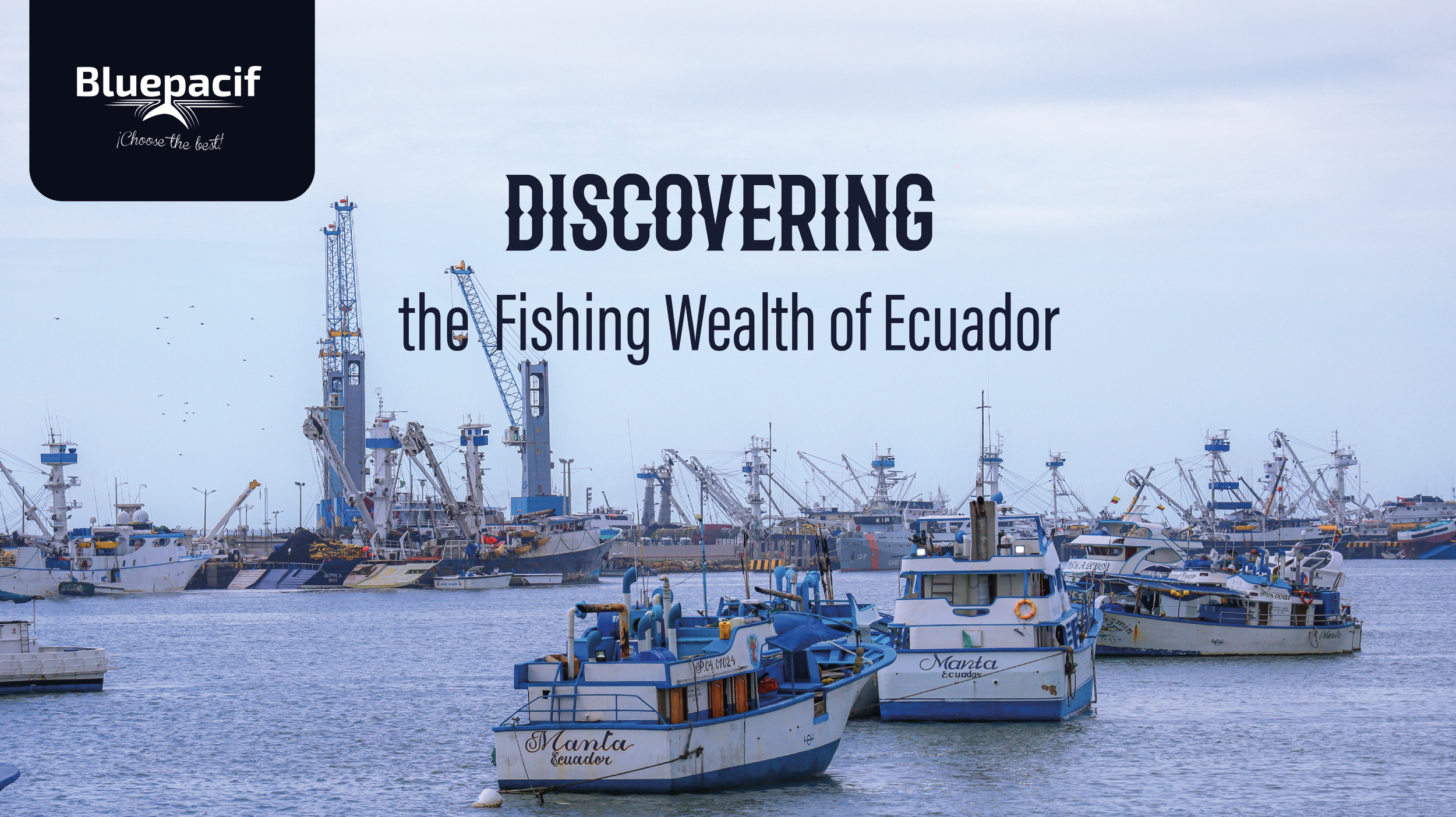 Discovering the Fishing Wealth of Ecuador — BluePacif