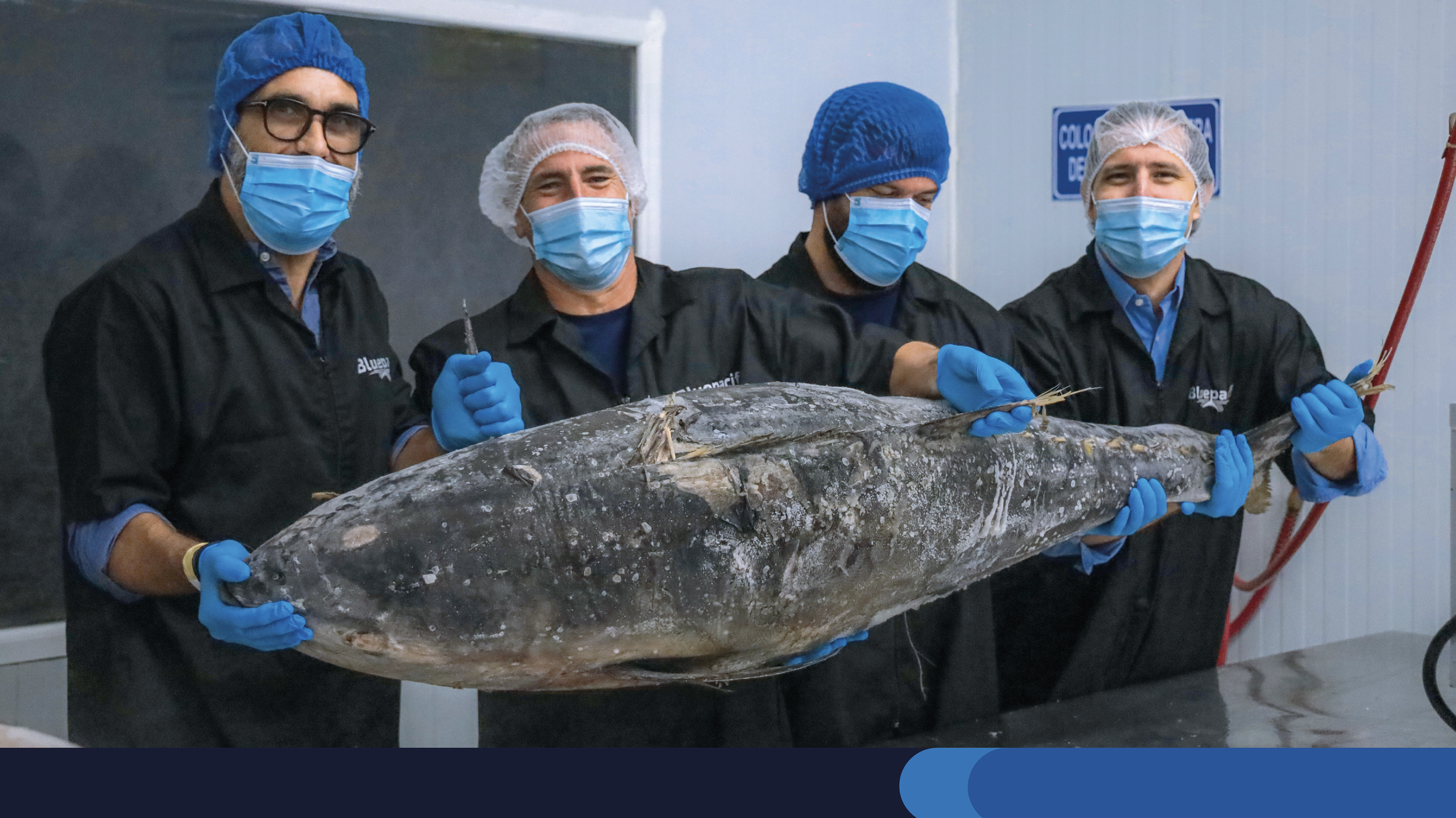 Ecuadorian Pacific Tuna — BluePacif