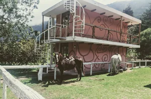 Horseback Riding in Ecuador — Riding In Circles Equestrian