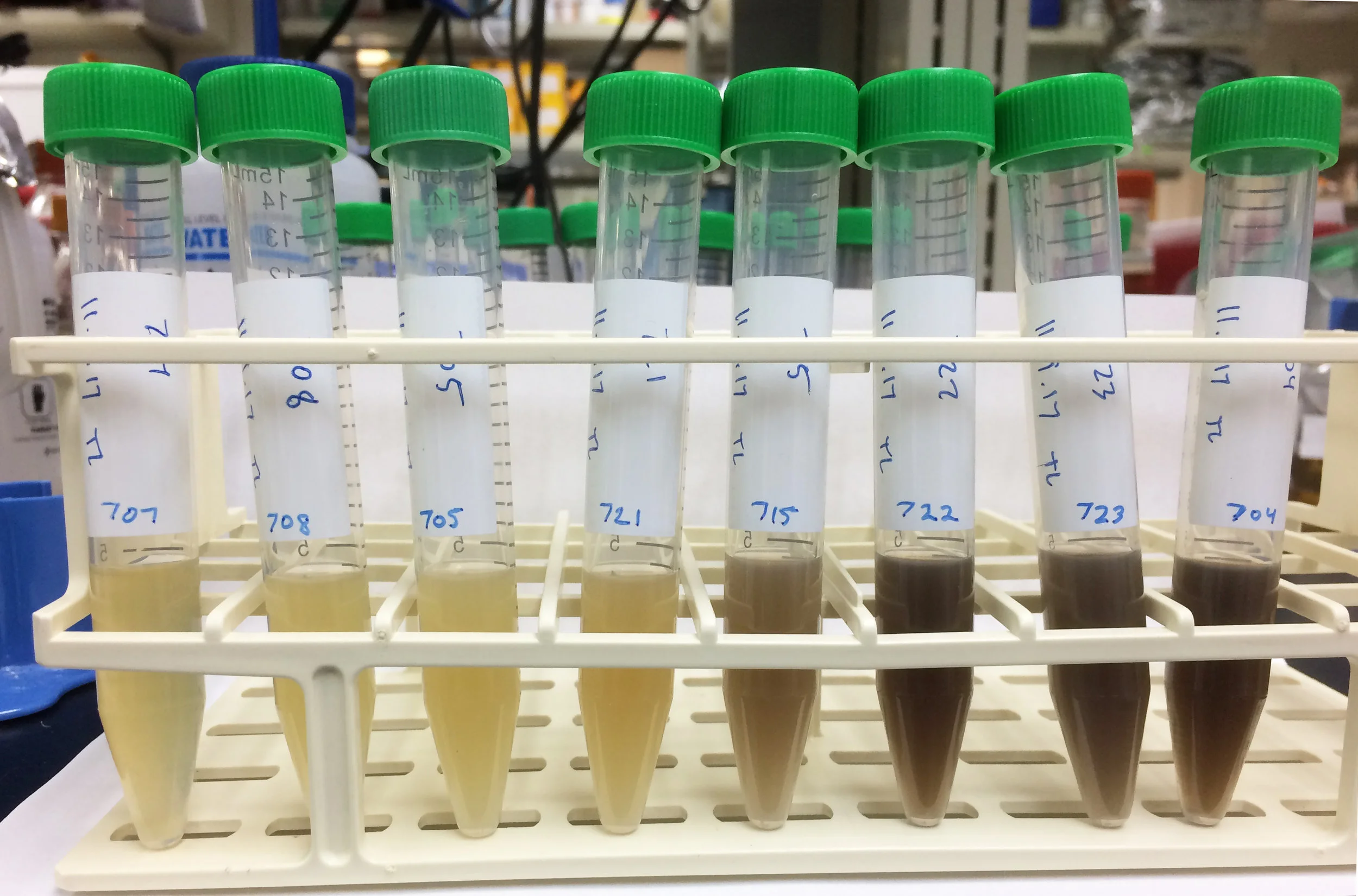 Research — Levin lab