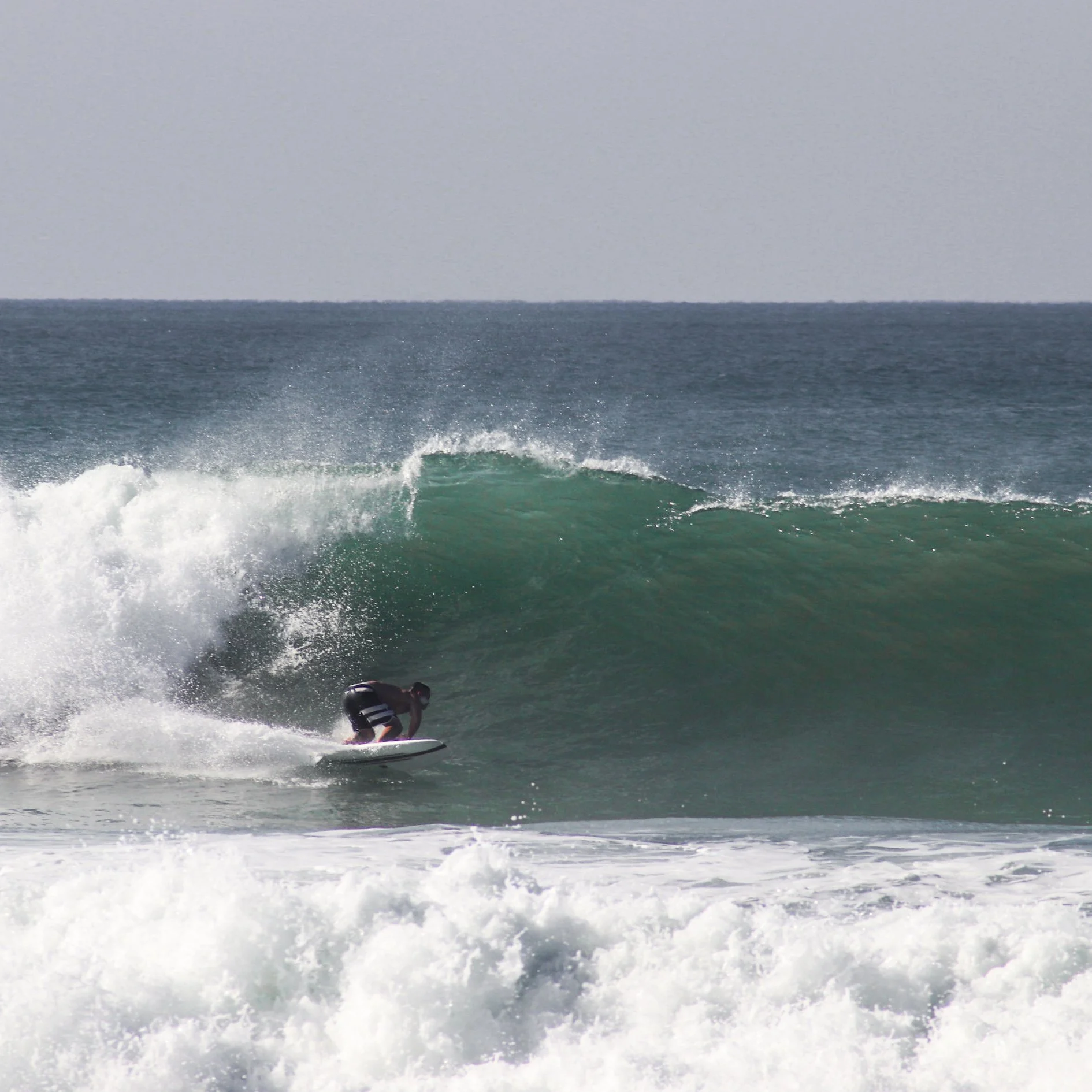 Cobra — ARC Surfboards