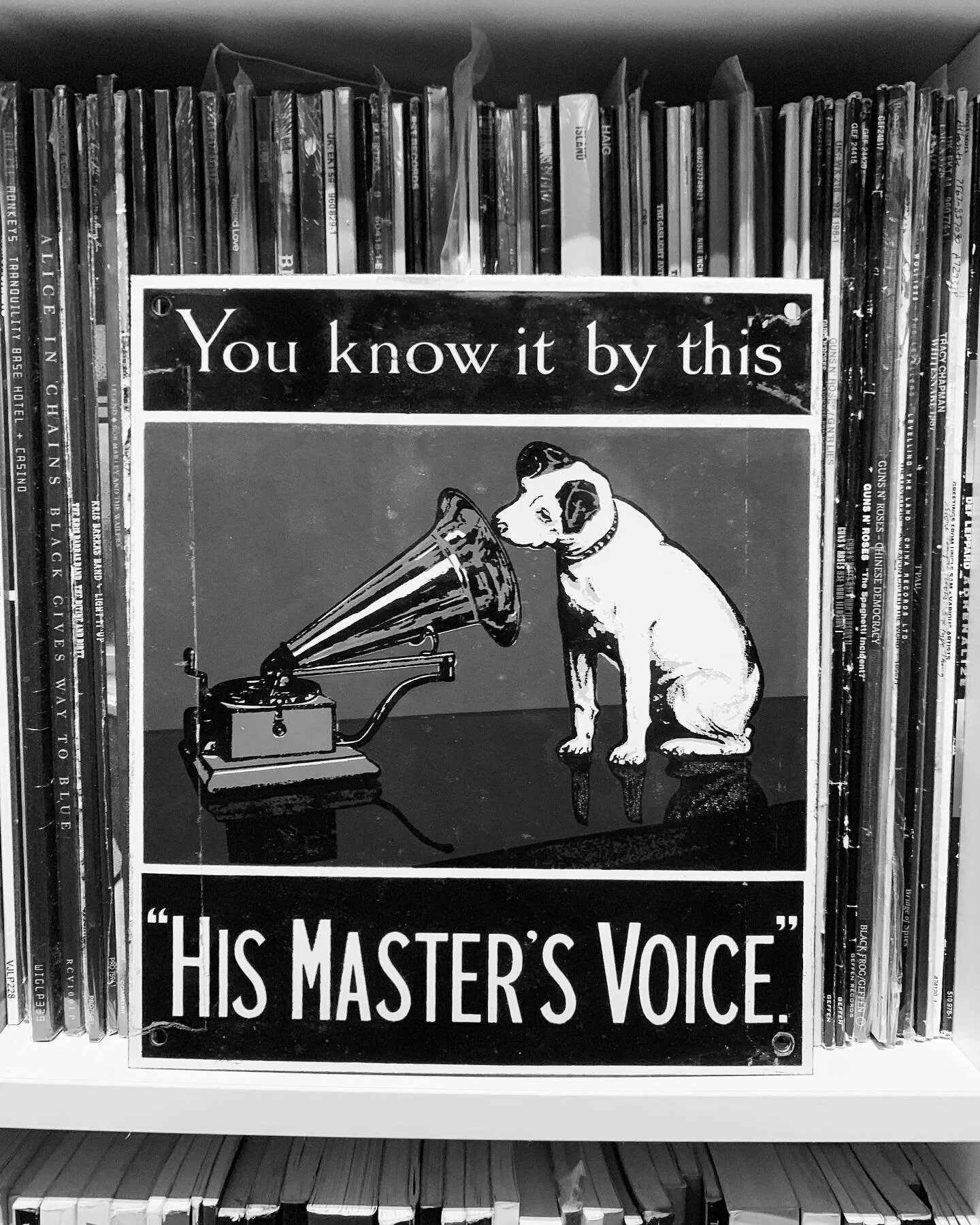 Encore E6 Electric Guitar Gloss Red — Guitar School