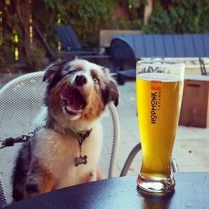 Novato Menu — HopMonk Taverns