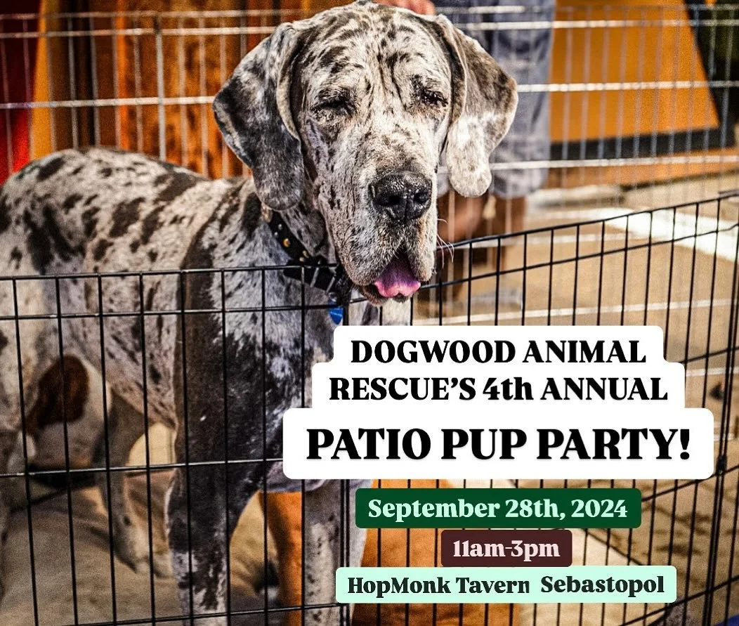 Novato — HopMonk Taverns