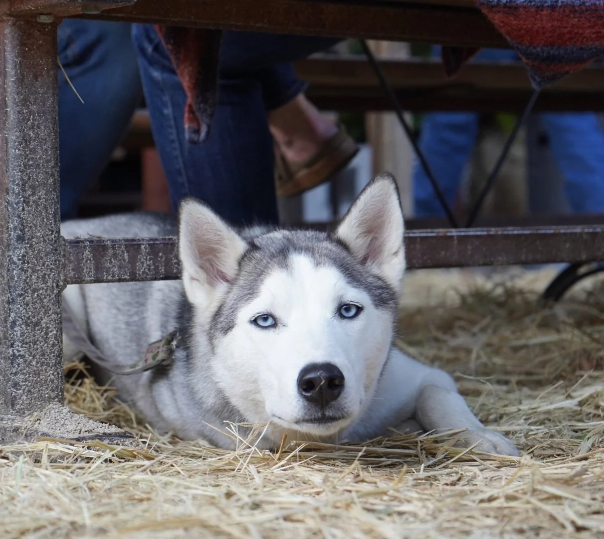 Novato — HopMonk Taverns