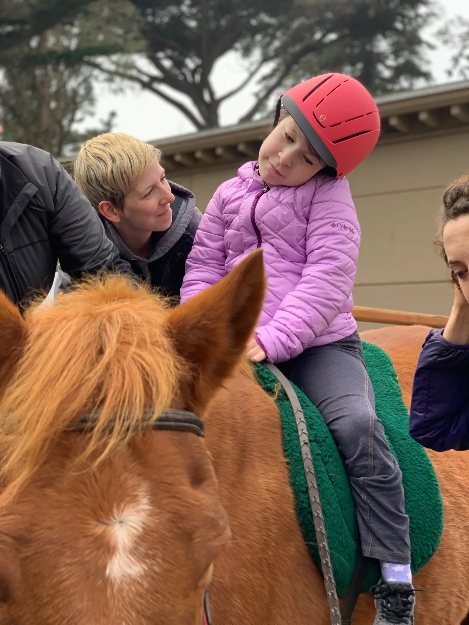Therapeutic Riding Lessons — Brady Riding