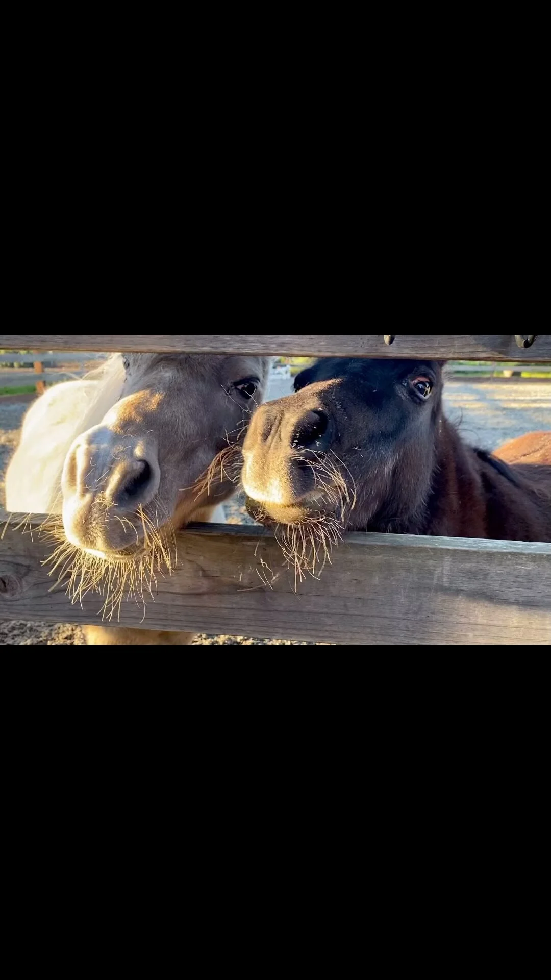 About Brady — Brady Riding