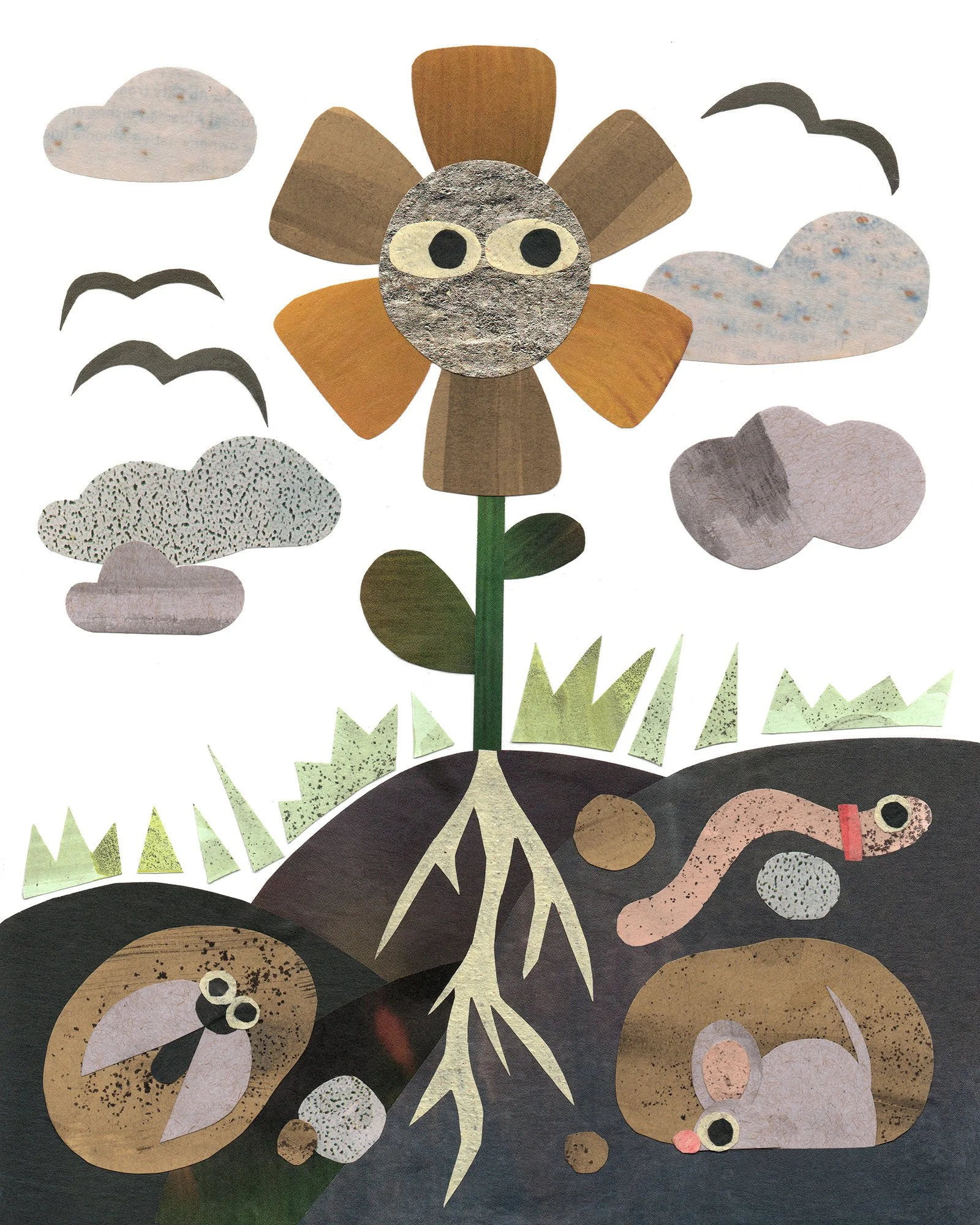 Danielle Ridolfi – Illustration | Design