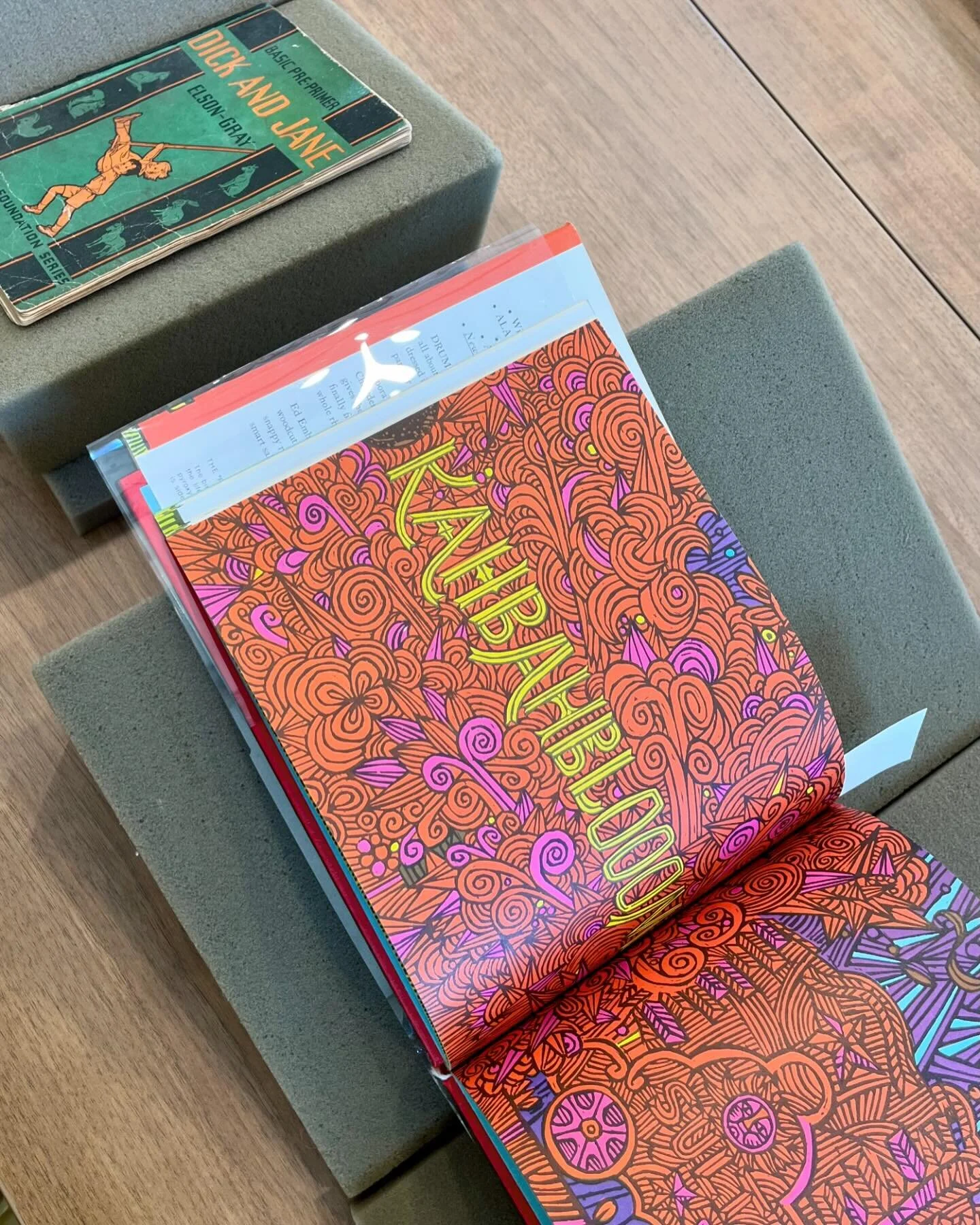 Danielle Ridolfi – Illustration | Design