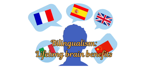 Bilingualism — Building Brains Together