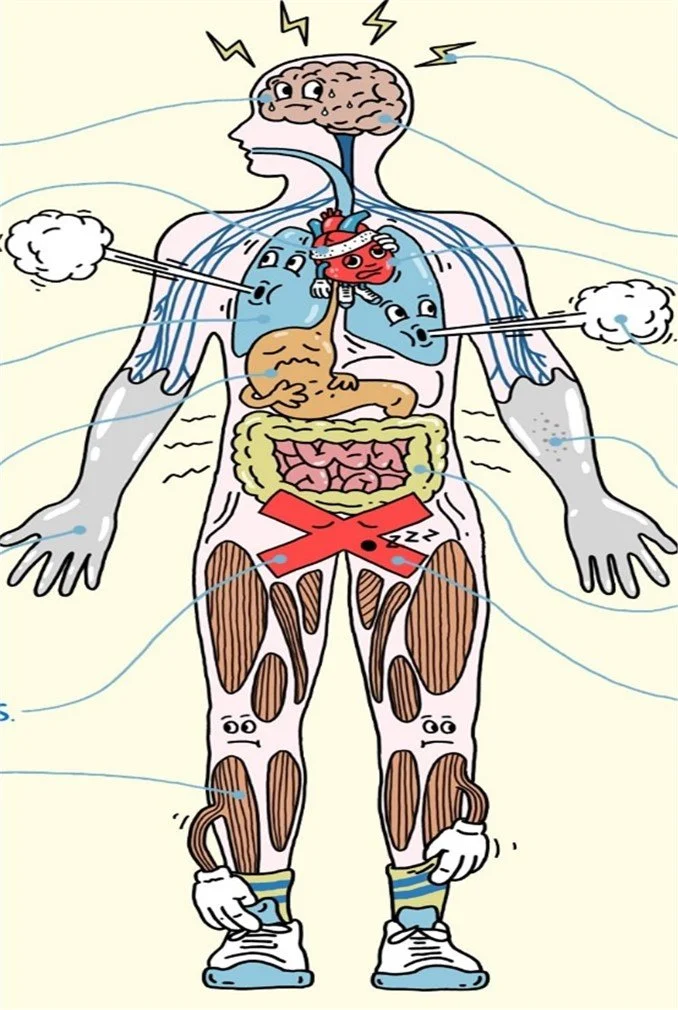 Executive Function Basics: The Stress Response And Our Brain — Building ...