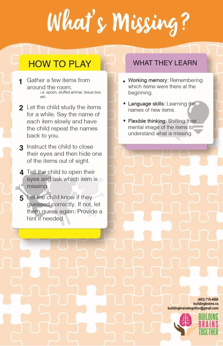 What Is Missing — Building Brains Together