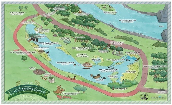 Traditional Land Based Teachings — Building Brains Together