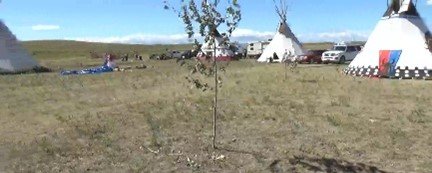Piikani Sundance — Building Brains Together