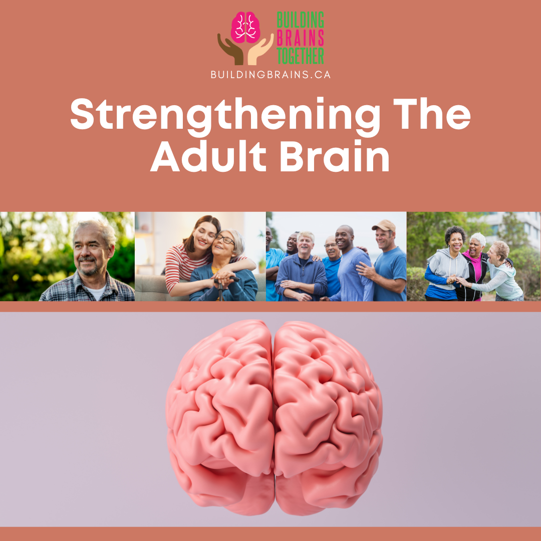 Free Courses — Building Brains Together