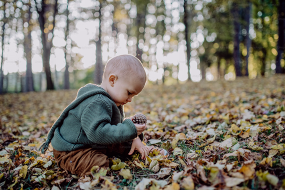 Outdoor Play — Building Brains Together
