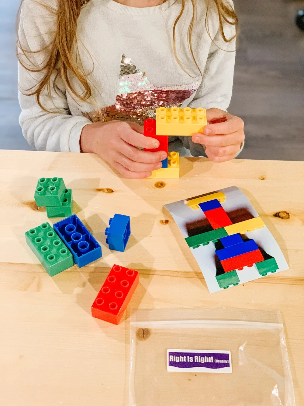 Building Brains Together