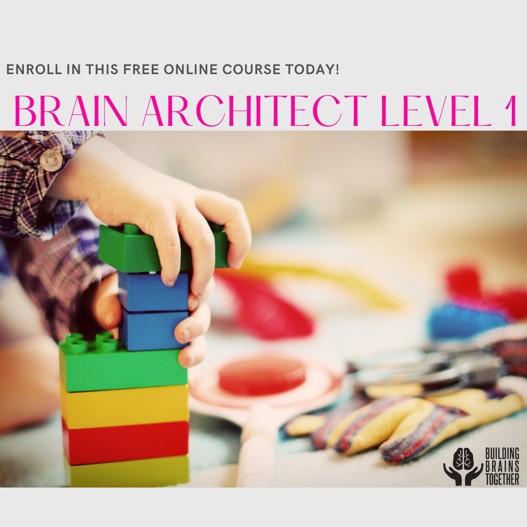 Free Courses — Building Brains Together