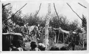 Sun Dance — Building Brains Together