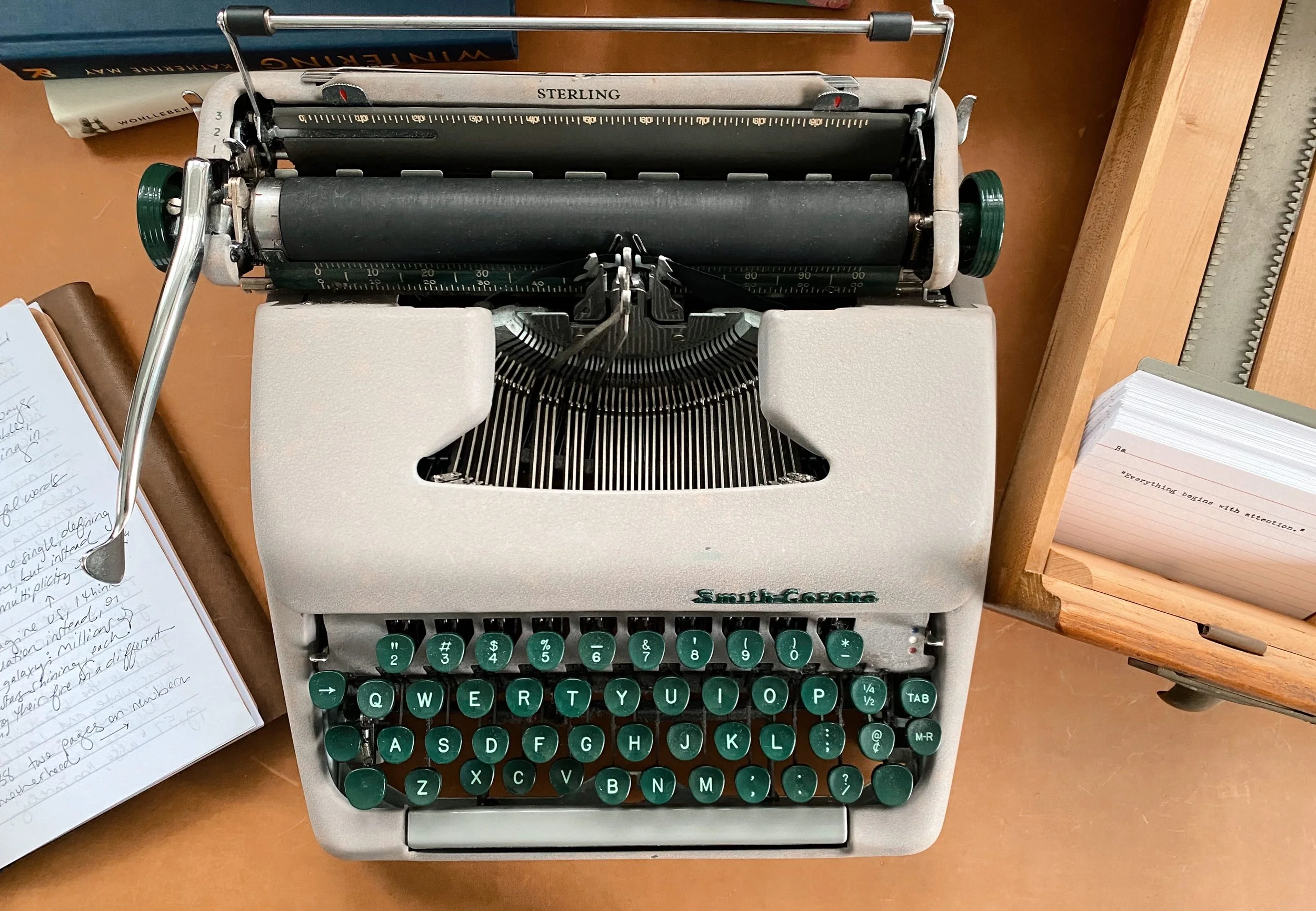 Blog — Sarah Shotts