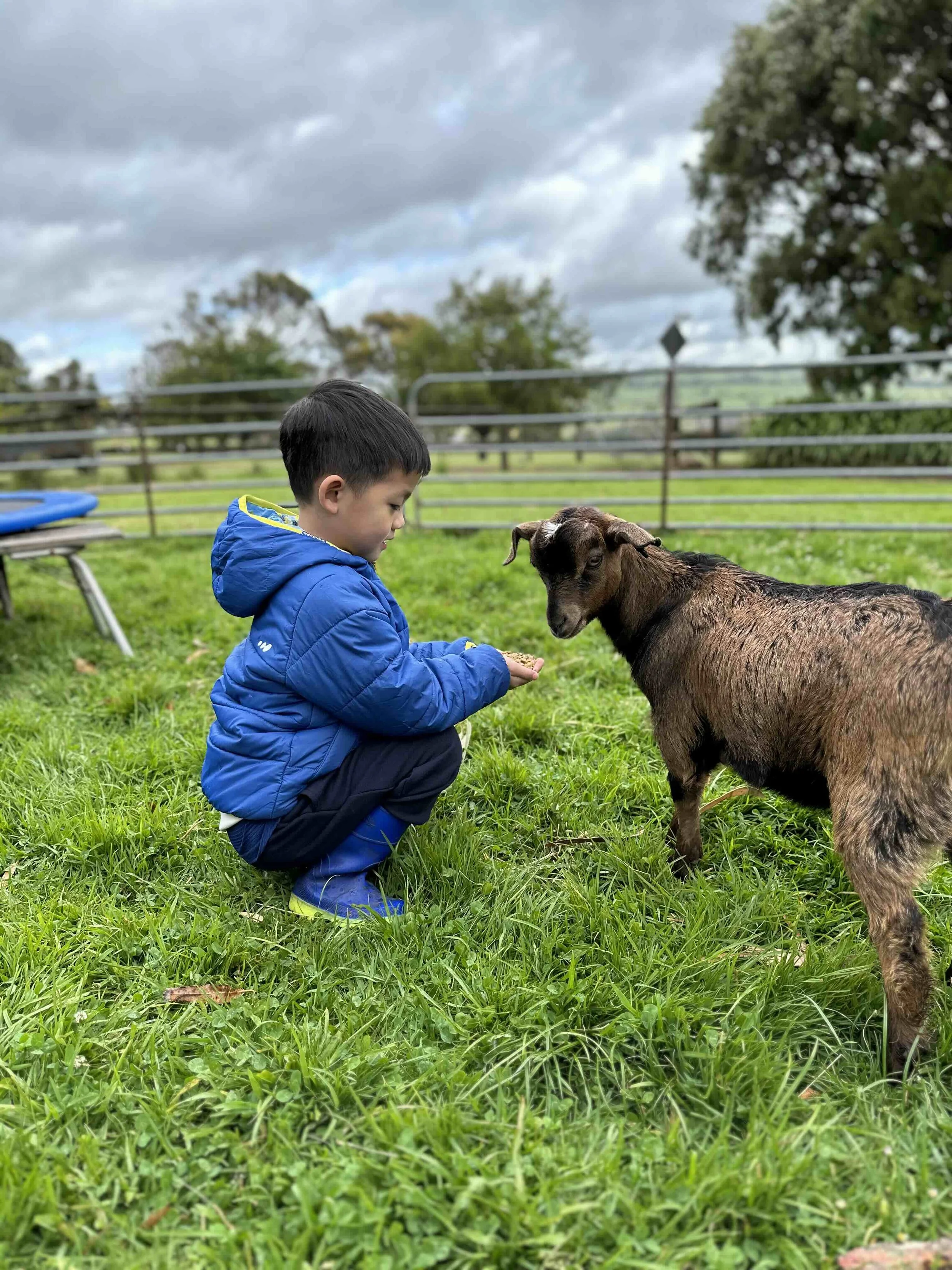 Personal animal hand-feedings and custom farm activities on our 350 acre family property ...