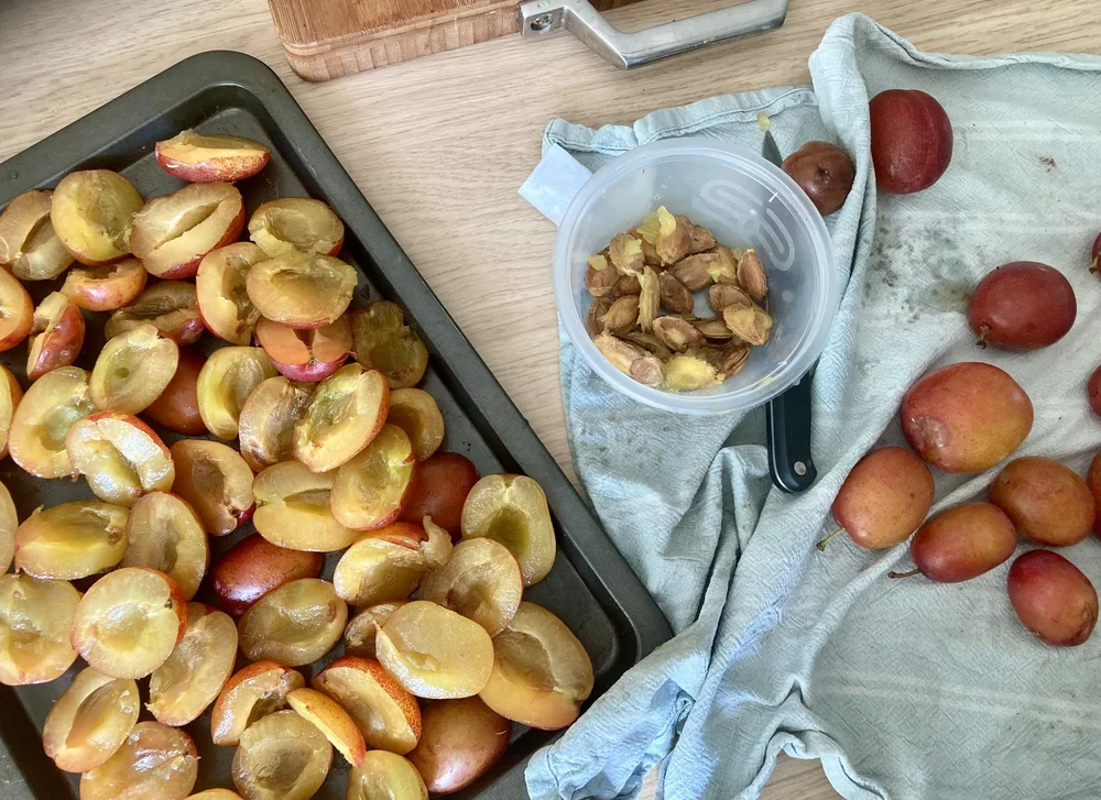 Freezing Fruit | Lee & The Sweet Life