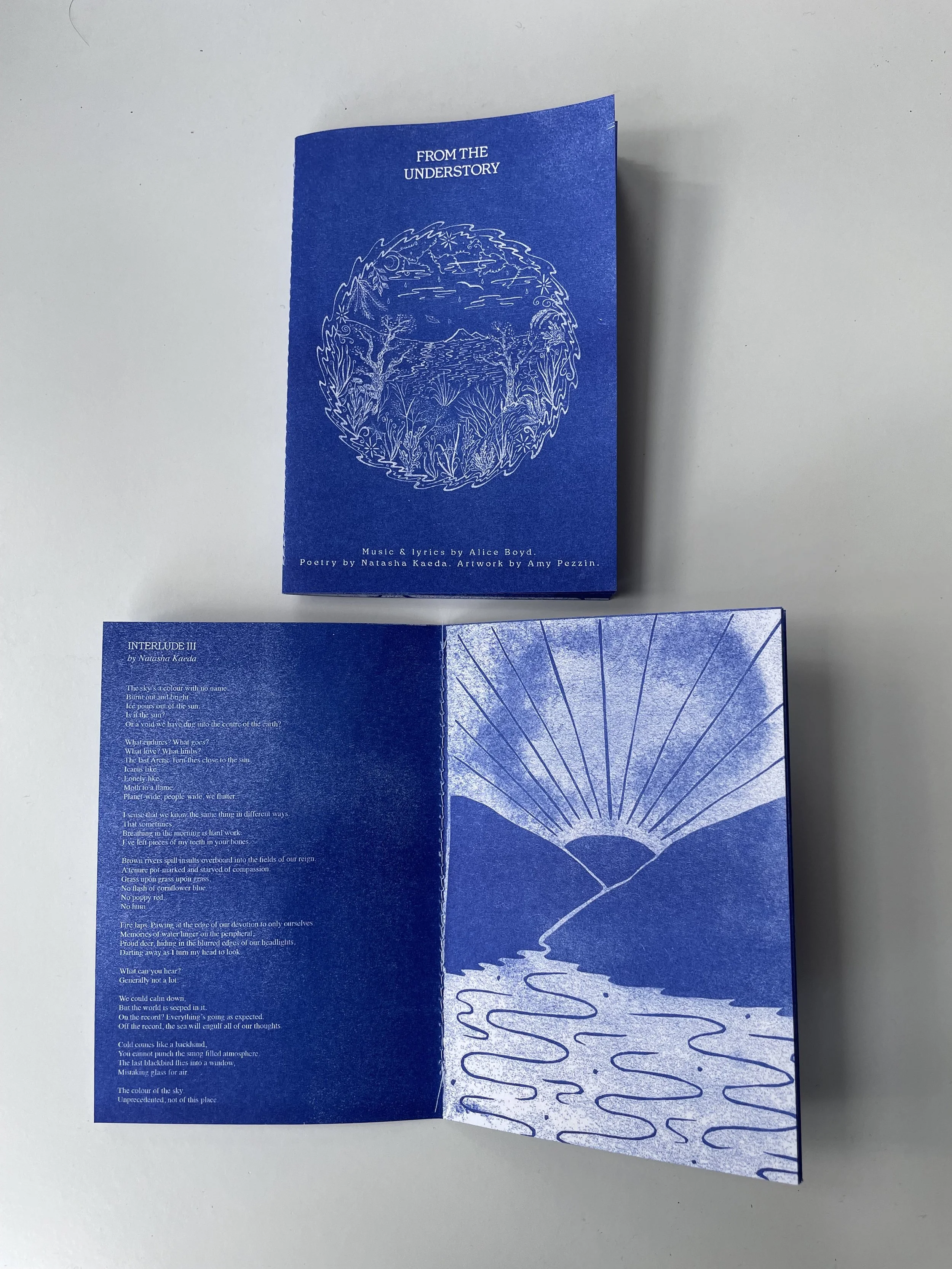 From The Understory • Booklet of lyrics and poetry (A6) — Alice Boyd