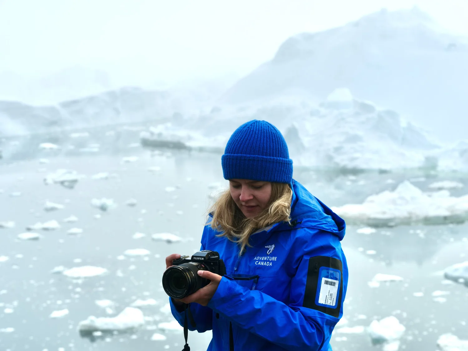 Arctic Ice: Under The Midnight Sun • Michelle Sanders & Alice Boyd ...