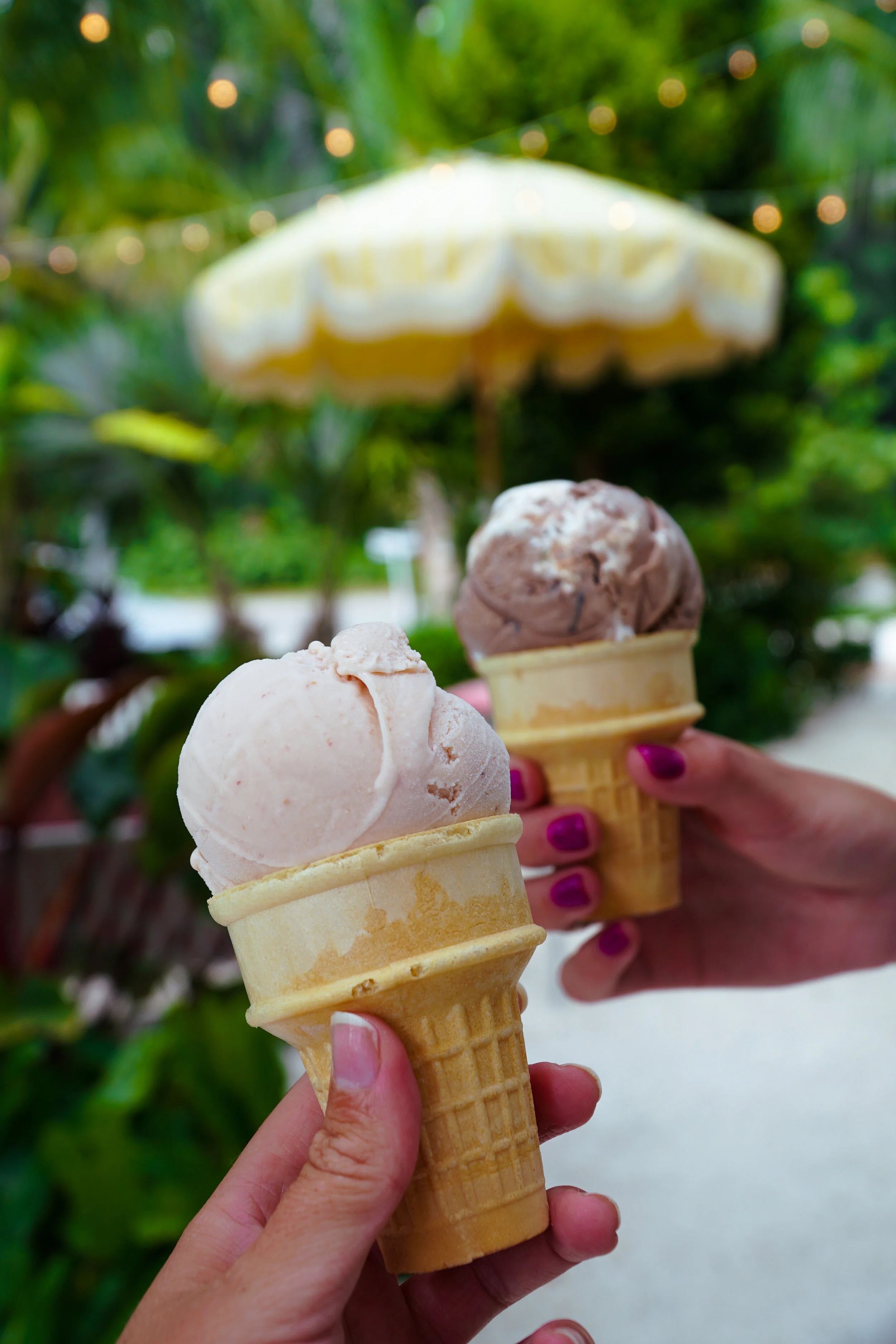 photos — Whitney's