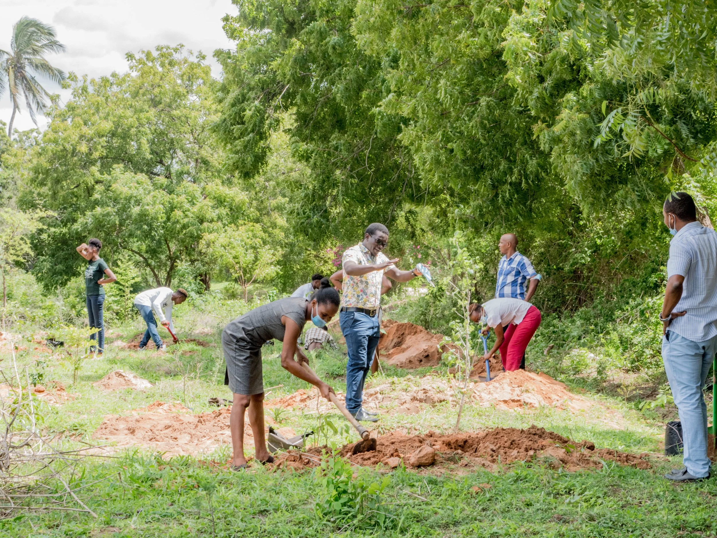 Tree Planting record — The LEAF Charity
