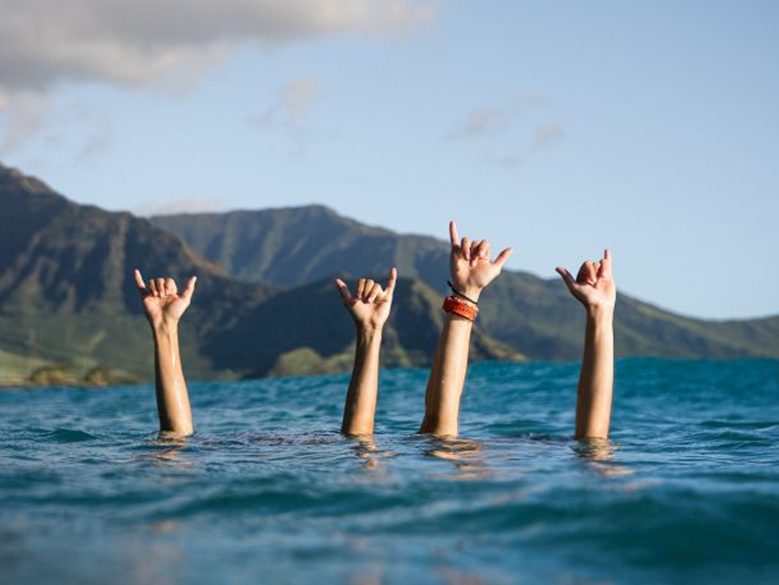 Shaka Brah Surf