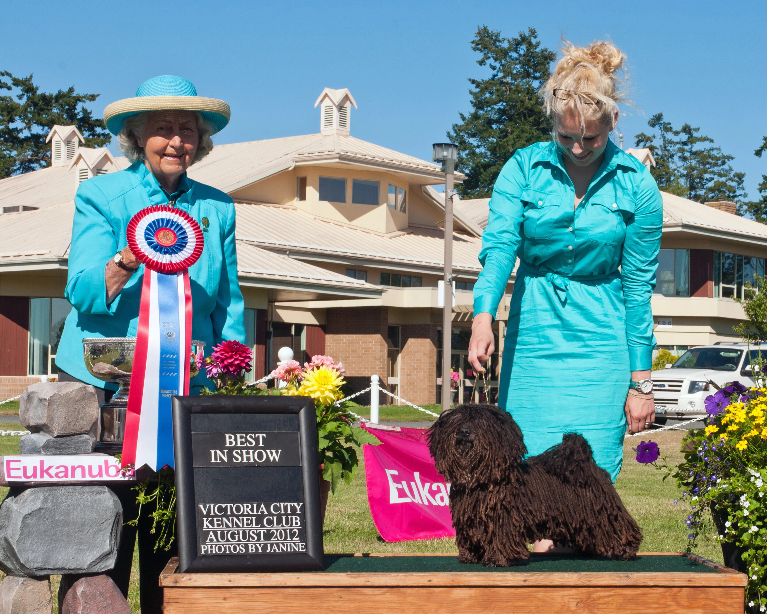 Retired dogs — We Have PUPPIES. . spring summer 2024 Mistytrails Havanese.