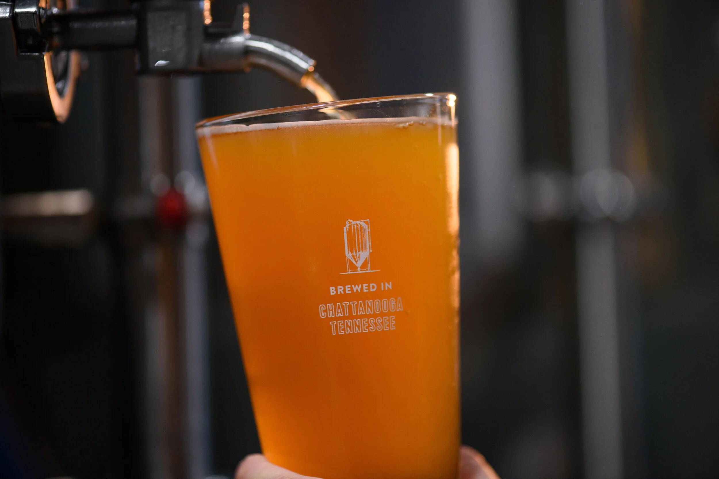 Five Wits Brewing Company