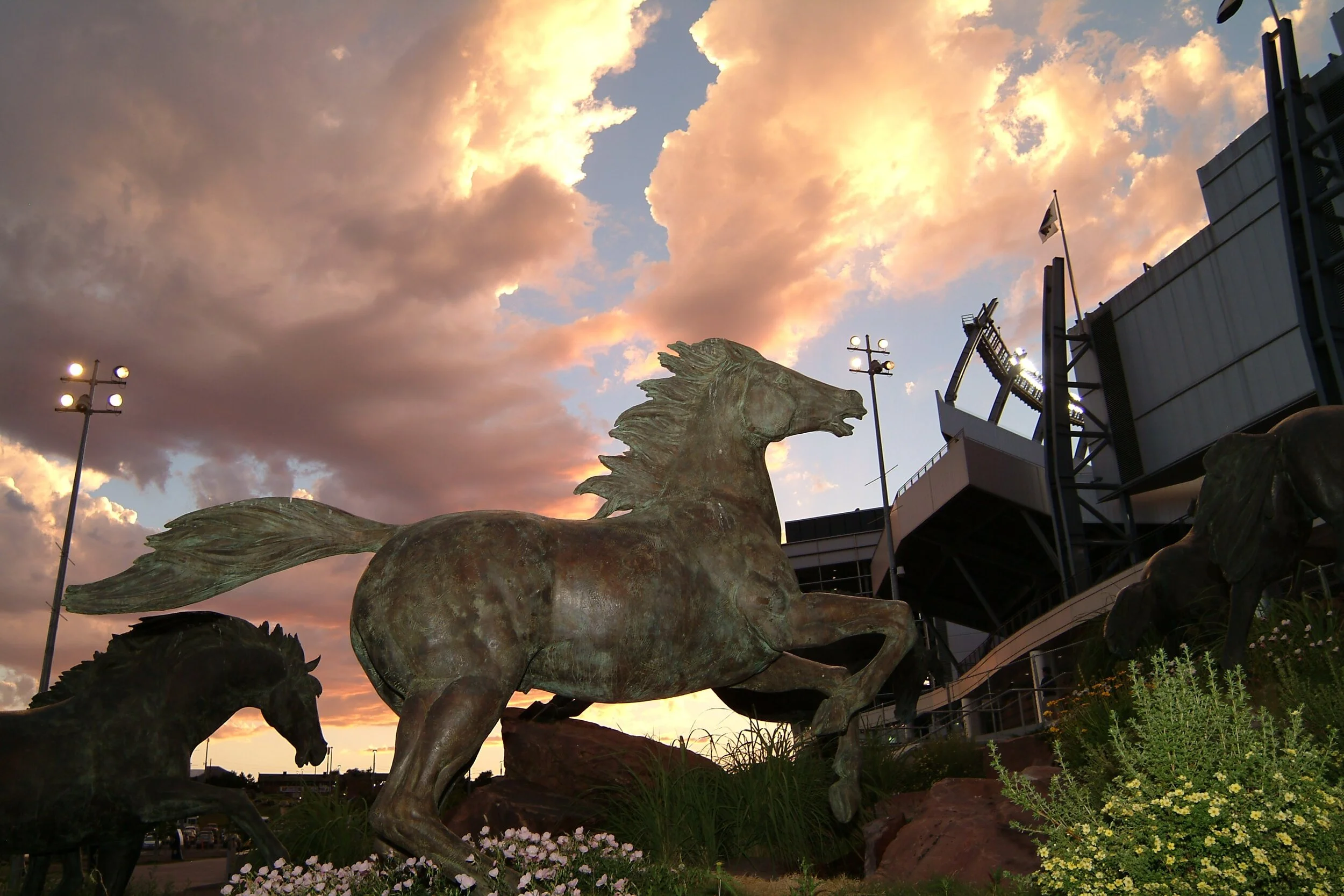 Gridiron Stadium Network