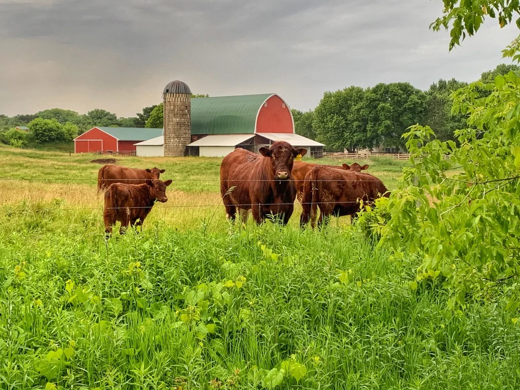 About — 21 Roots Farm