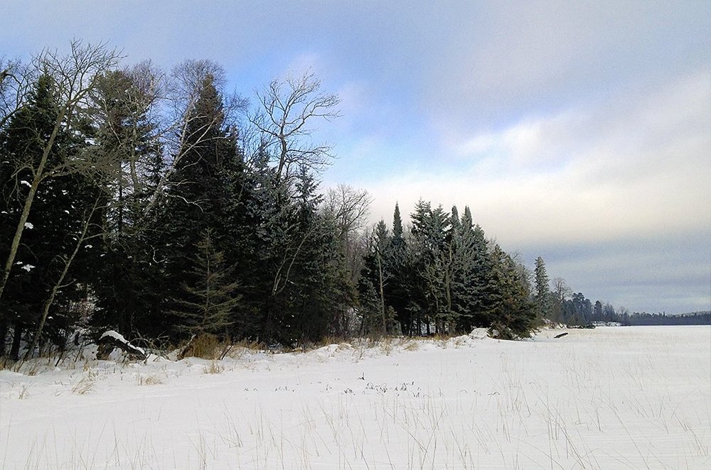 MAS Helped Establish the Itasca Wilderness Sanctuary in 1939 ...