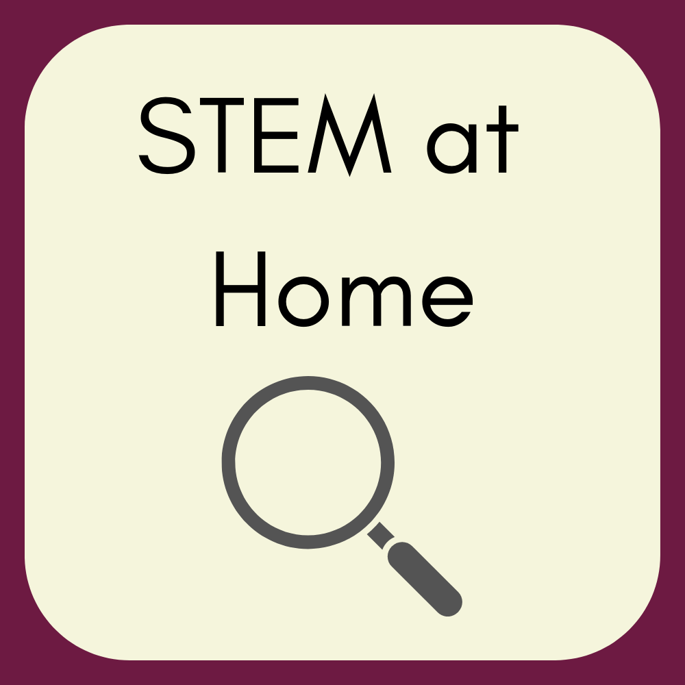 Educators — Minnesota Academy of Science