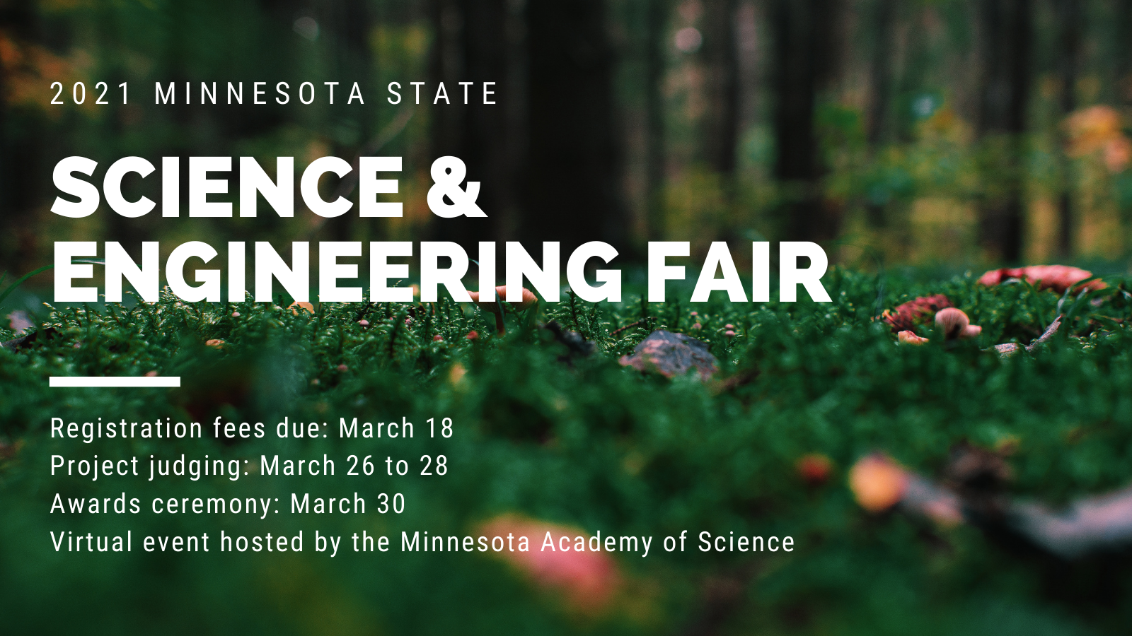 TOP MINNESOTA STUDENTS PARTICIPATE IN VIRTUAL STATE SCIENCE FAIR ...