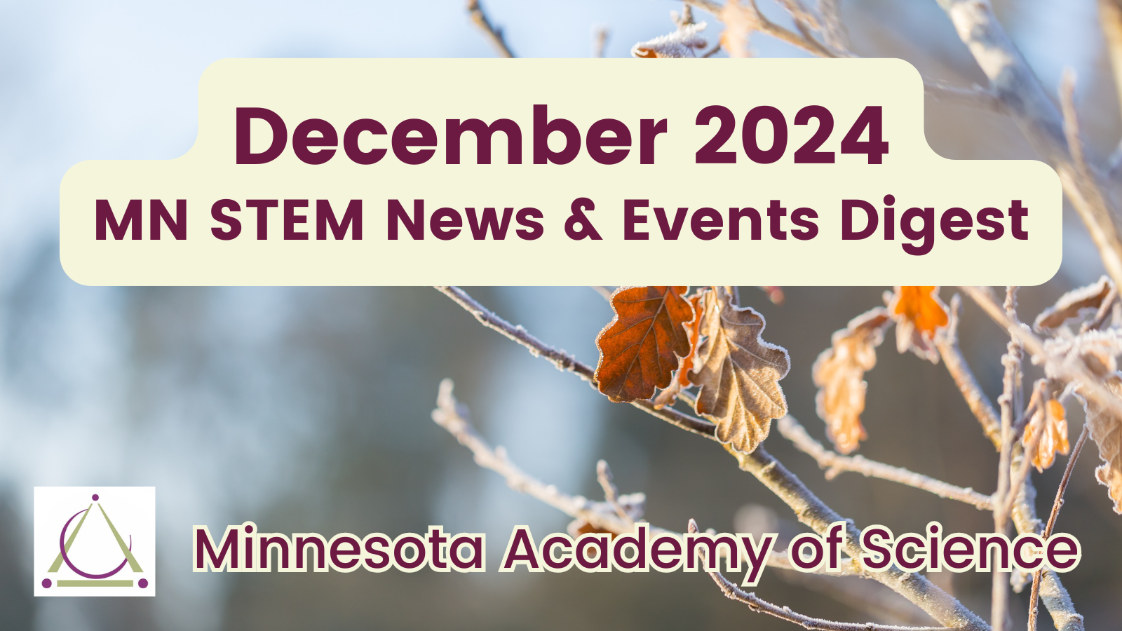 December 2024 MN STEM News & Events Digest — Minnesota Academy of Science