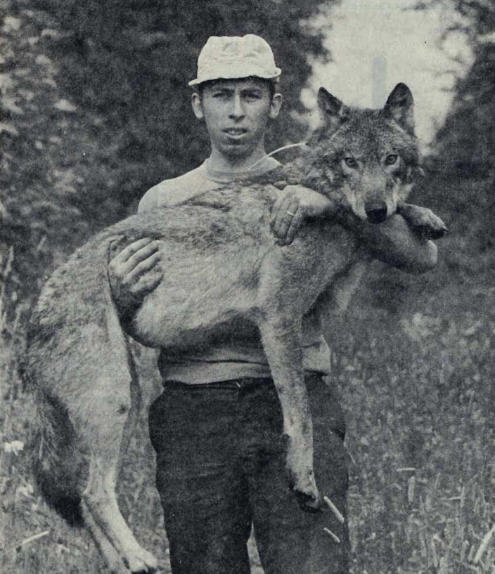 Journal of the Minnesota Academy of Science Archives: 1970 — Minnesota ...