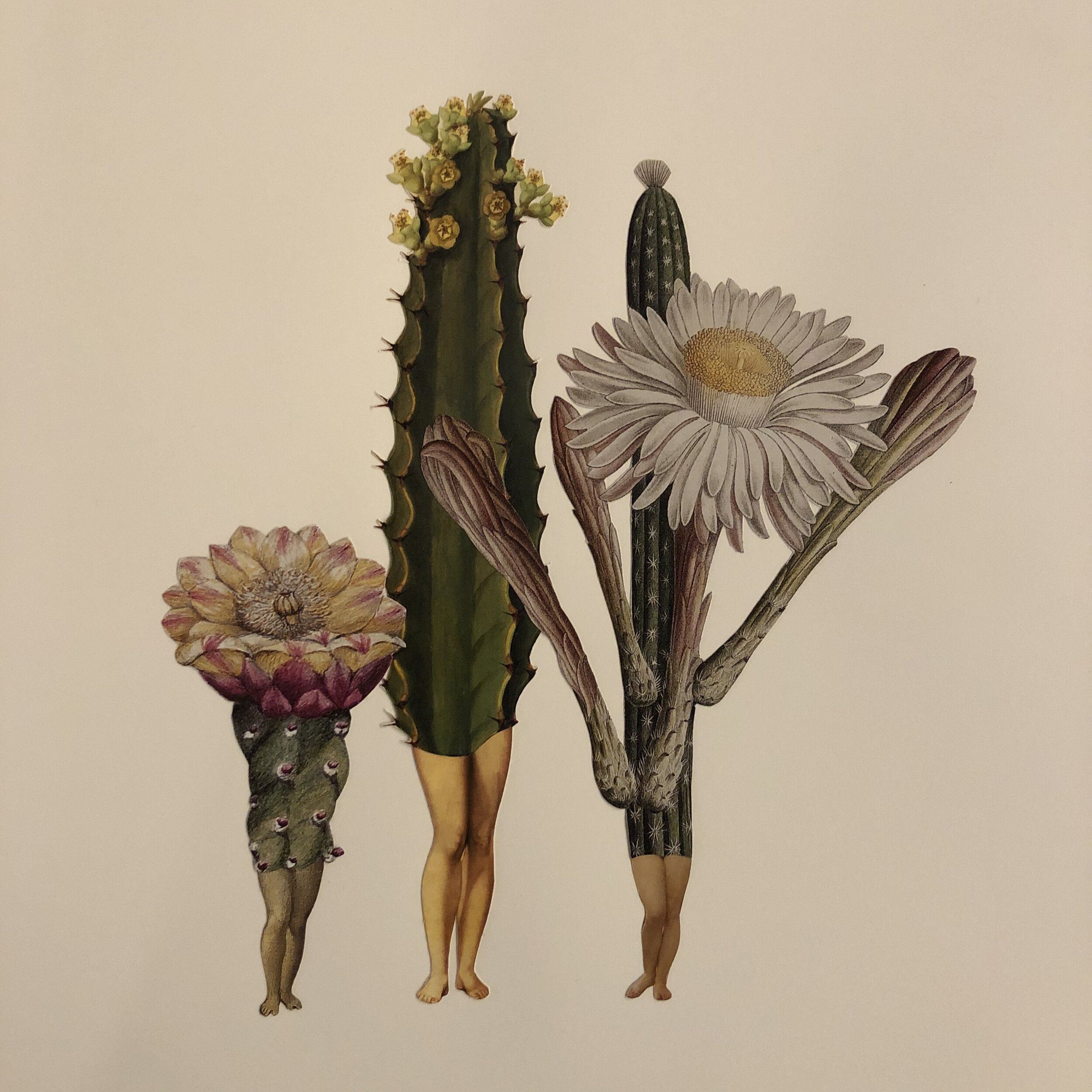 Collages — Doug + Laurie Kanyer Art Collection