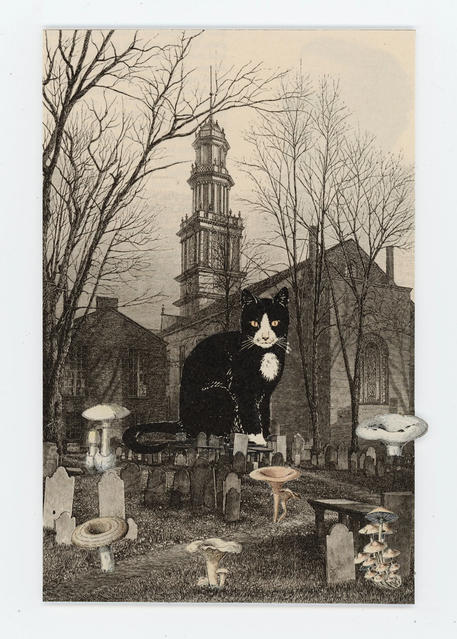 Collages — Doug + Laurie Kanyer Art Collection