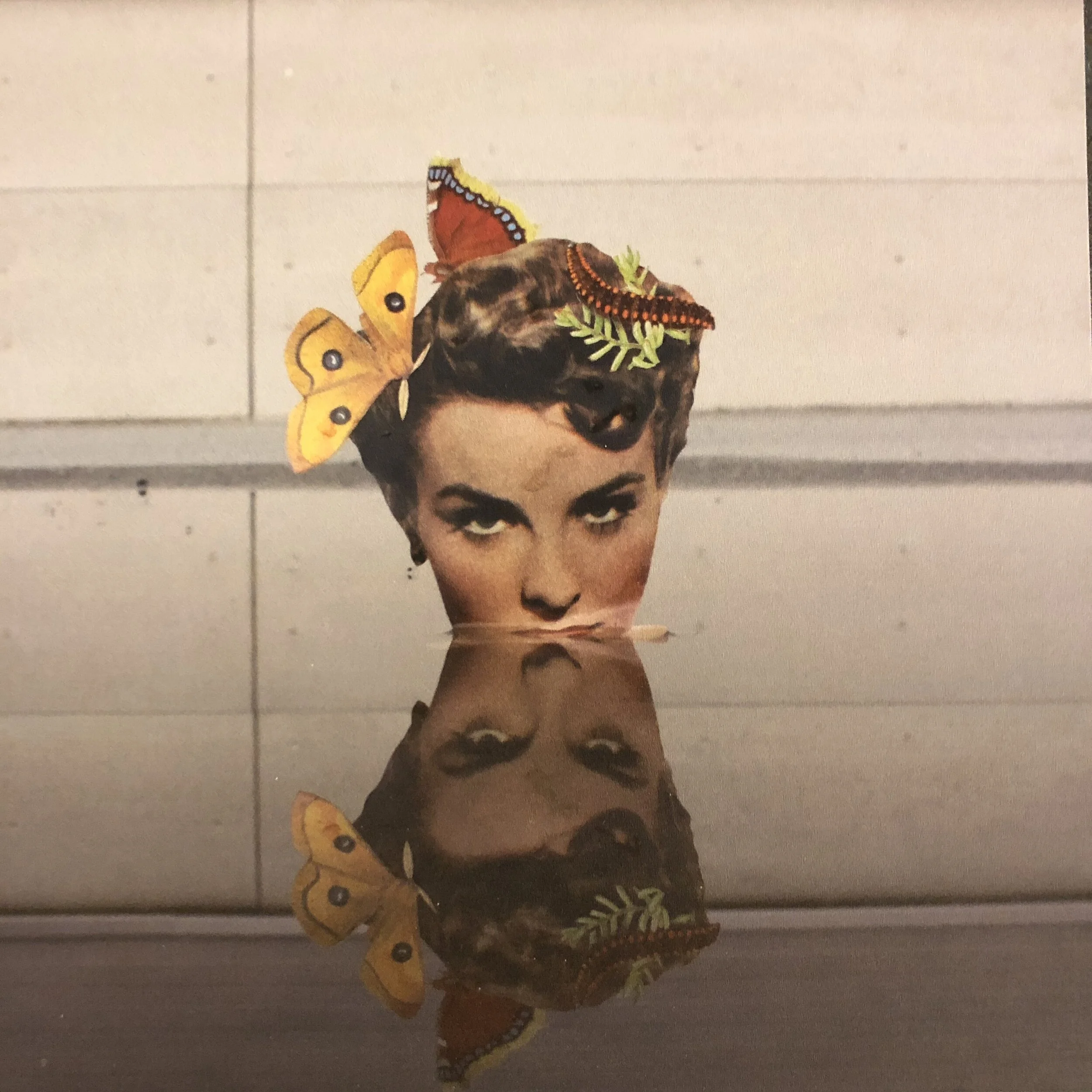Collages — Doug + Laurie Kanyer Art Collection