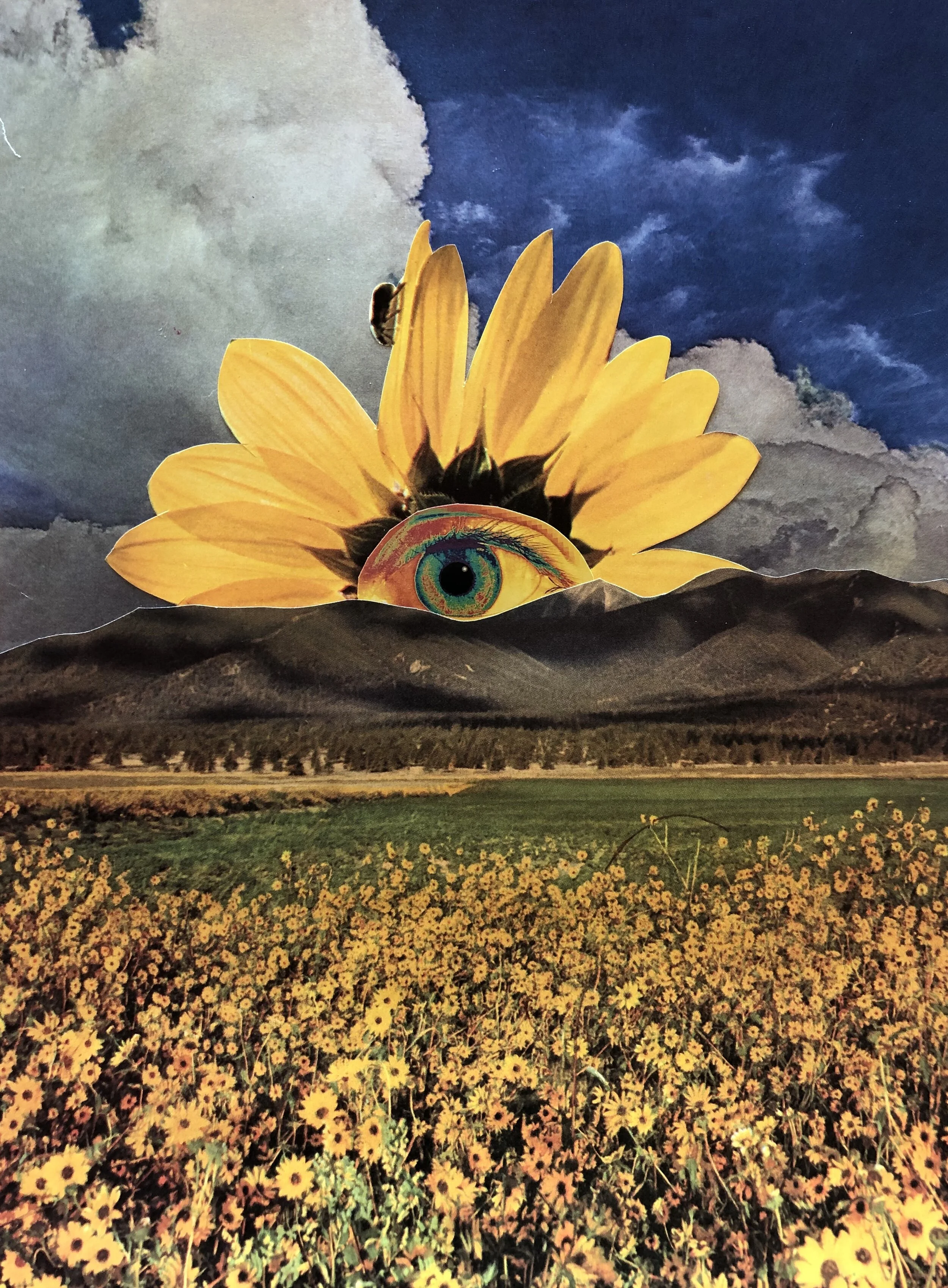 Collages — Doug + Laurie Kanyer Art Collection