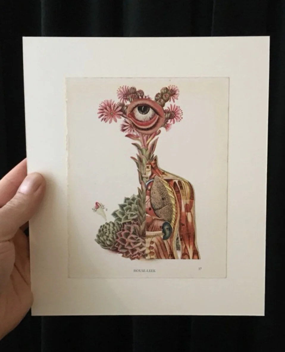 Collages — Doug + Laurie Kanyer Art Collection