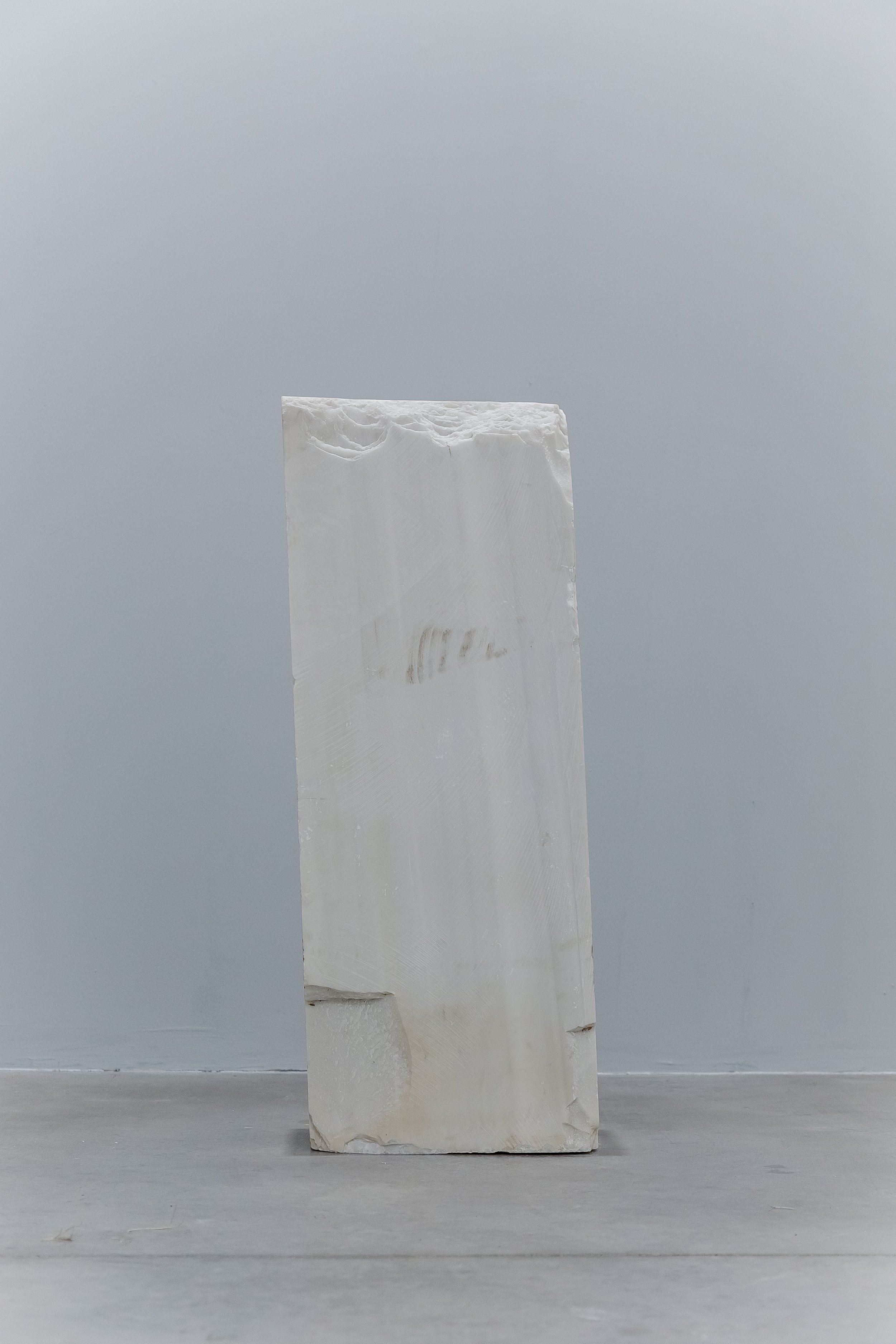 ANIMA MUNDI por Lourdes de la Riva — La Galería Rebelde