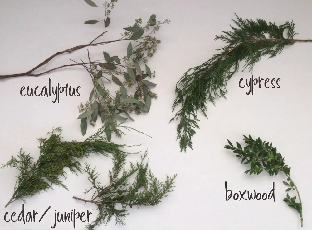 Holiday Guide to Greenery — Being the Roberts