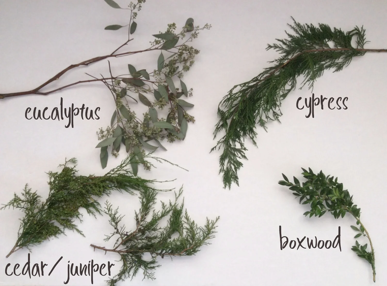 Holiday Guide to Greenery — Being the Roberts