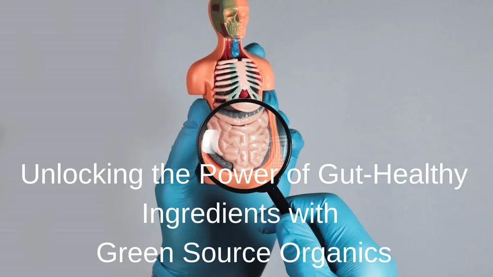 Unlocking the Power of Gut-Healthy Ingredients — Green Source Organics