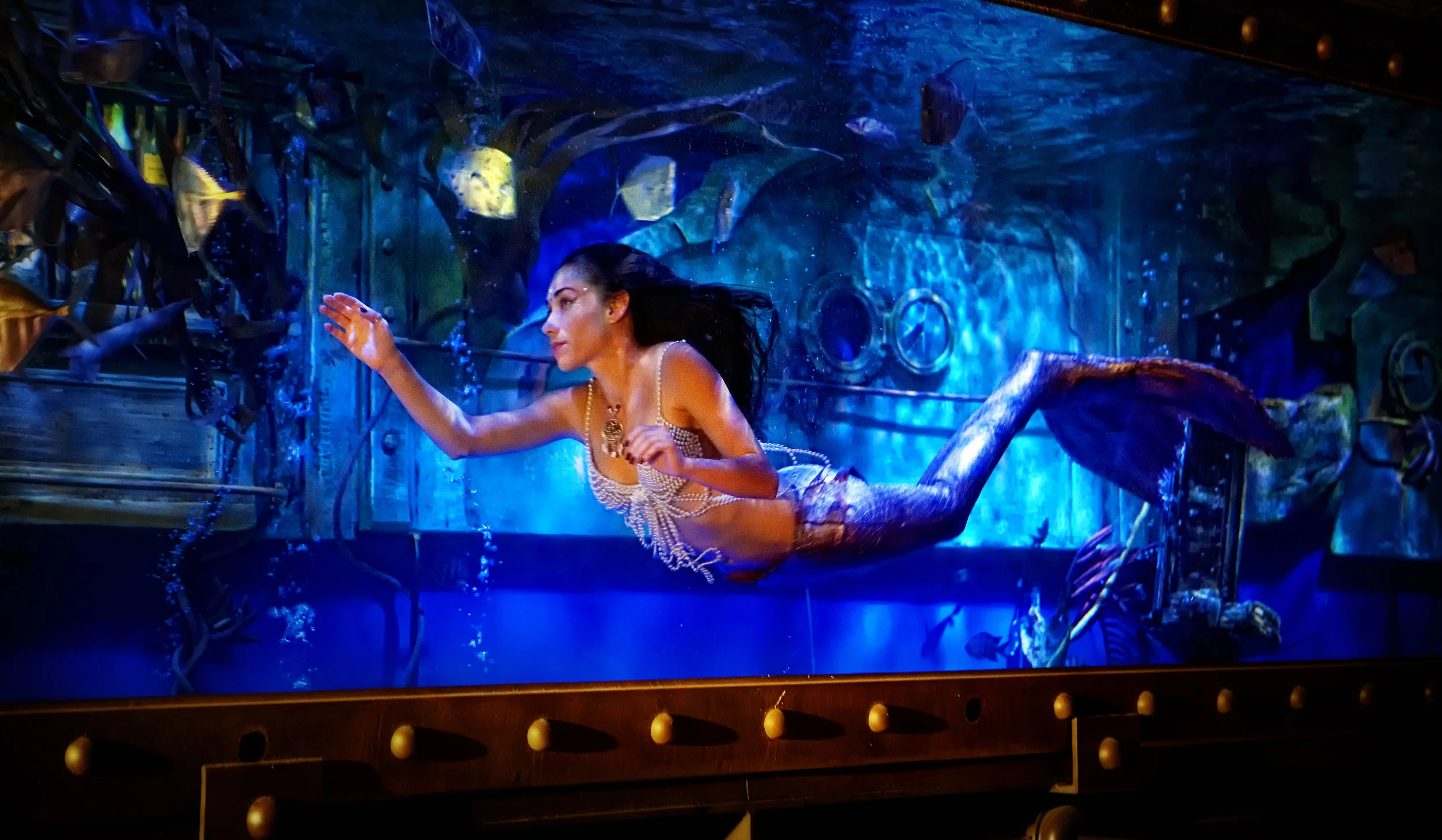 Dive Bar Dive Bar